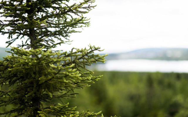 Town Of Wabush | Labrador West | Labrador City | Wabush