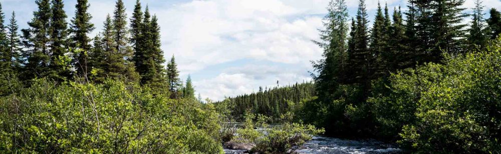 The Region | Labrador West | Labrador City | Wabush