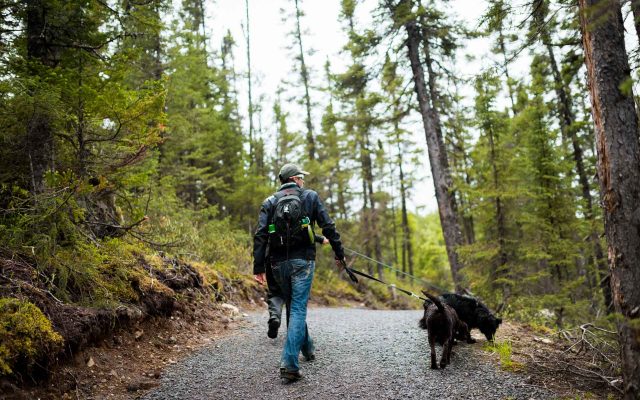 The Region | Labrador West | Labrador City | Wabush