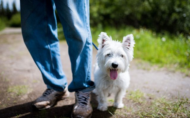 Facilities Archive | Labrador West | Labrador City | Wabush